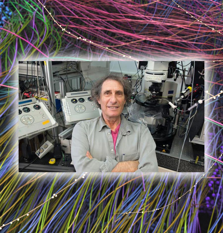 HU computational brain science breakthrough simplifies complex neuron ...