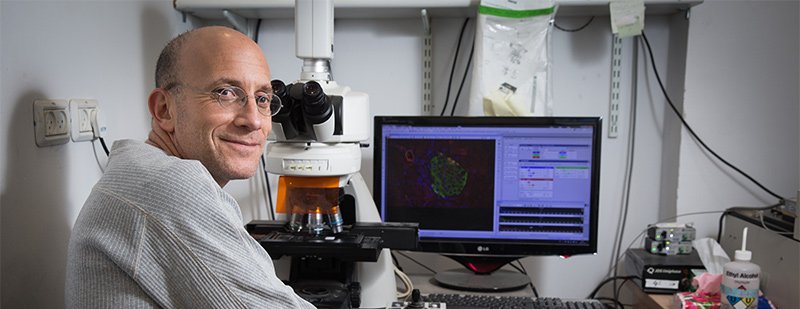 HU’s Yuval Dor awarded diagnostic grant from Alzheimer’s Drug Discovery Foundation - The ...
