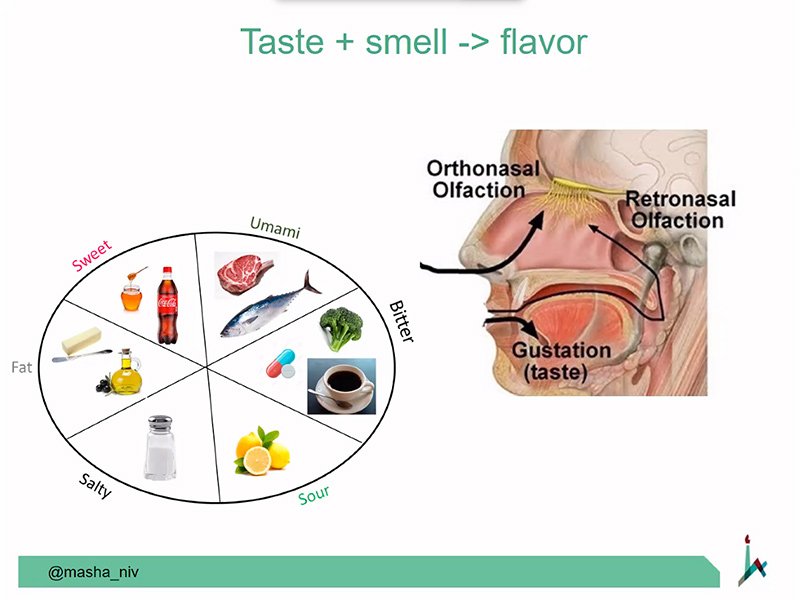 WEBINAR - Smell and Taste changes in COVID-19 and other respiratory ...