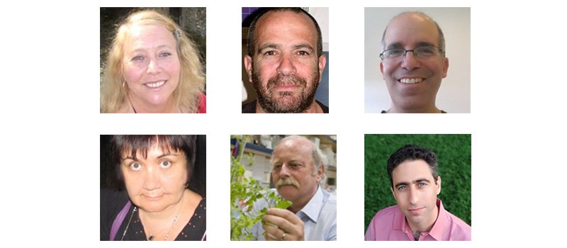 HU and US researchers share in major BARD grants for joint agricultural ...