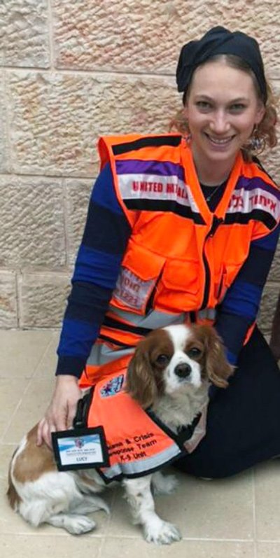 Animal-assisted therapy grad and her dog help at crisis scenes to ...