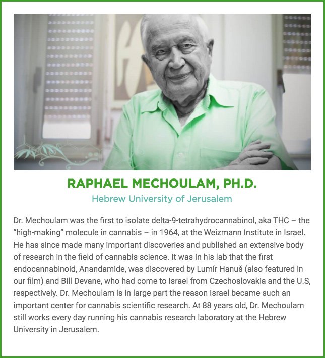 New film spotlights HU’s Raphael Mechoulam’s pioneering work on medical ...