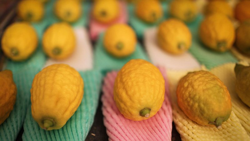 HU PhD student: The etrog revealed - The Canadian Friends of Hebrew ...