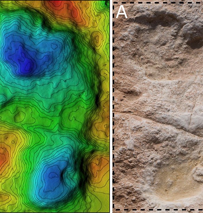 HU archaeologist analyzes discovery of 120,000-year-old footprints in ...