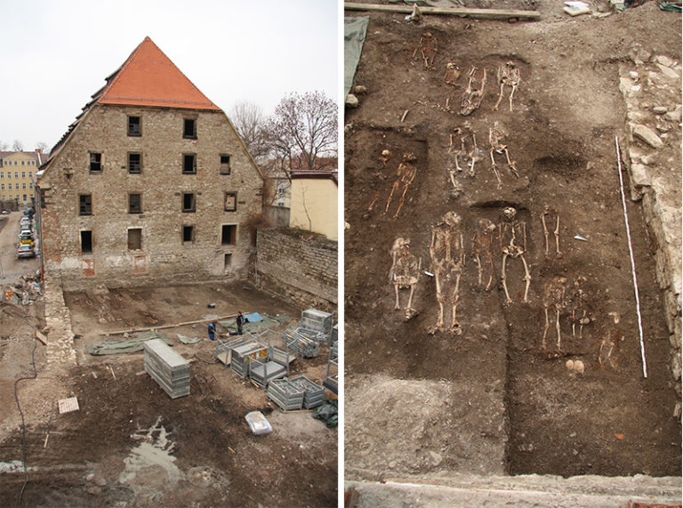 Ancient DNA from Medieval Germany Tells Origin Story of Ashkenazi Jews ...