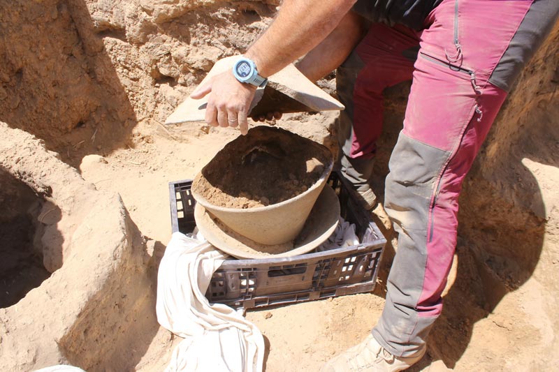 Rare 6,000-year-old elephant ivory vessel discovered near Beersheba ...