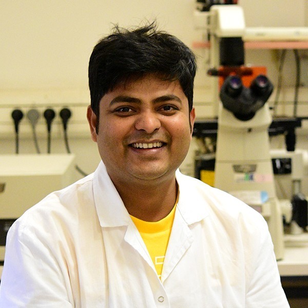 Hebrew U unveils secrets of Type 1 Diabetes: Aging Beta Cells and their ...