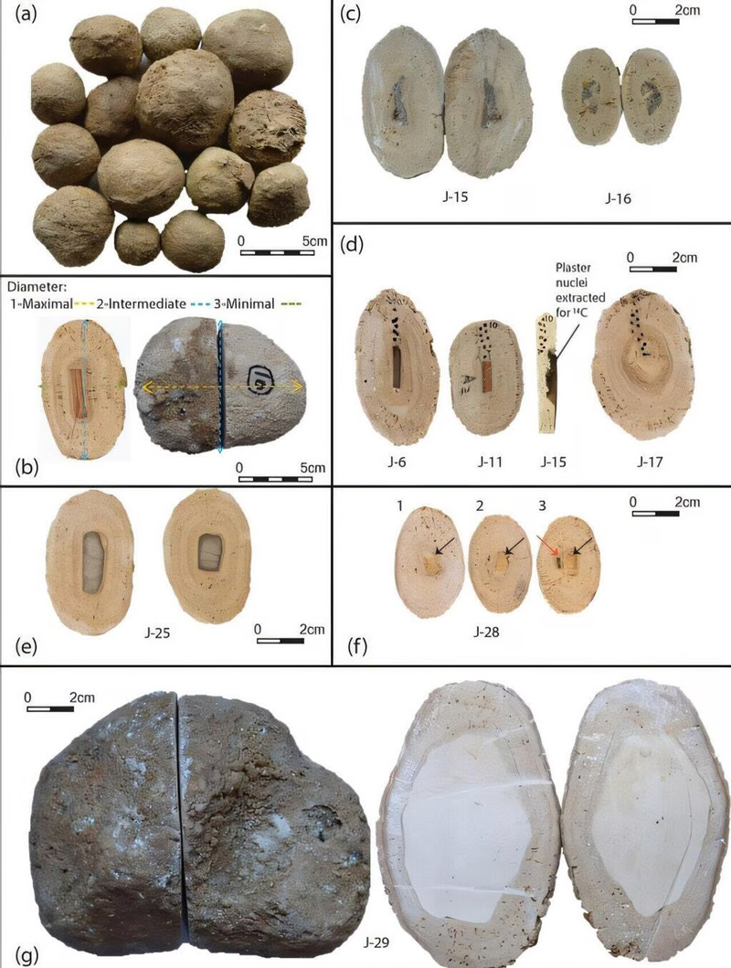 Rare cave pearls unearthed by Hebrew U archeaologists in Jerusalem ...