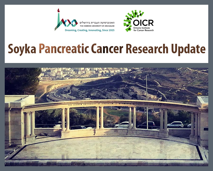 Soyka Pancreatic Cancer Research Update – March 2025 - The Canadian ...