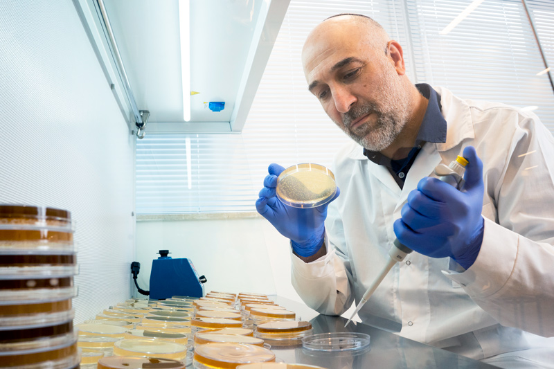 Six Hebrew University Researchers Awarded Research Grants from the ...